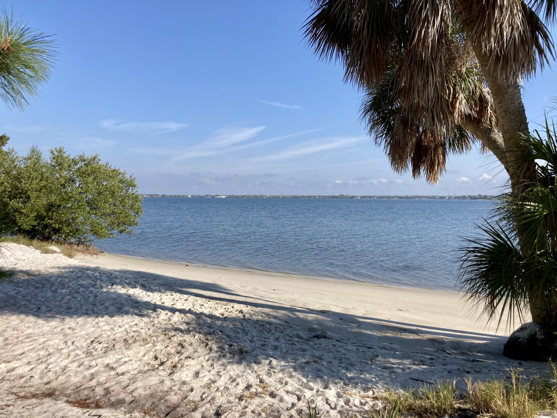 9 Things to Do With Kids in Safety Harbor FL - Suncoast Family Fun
