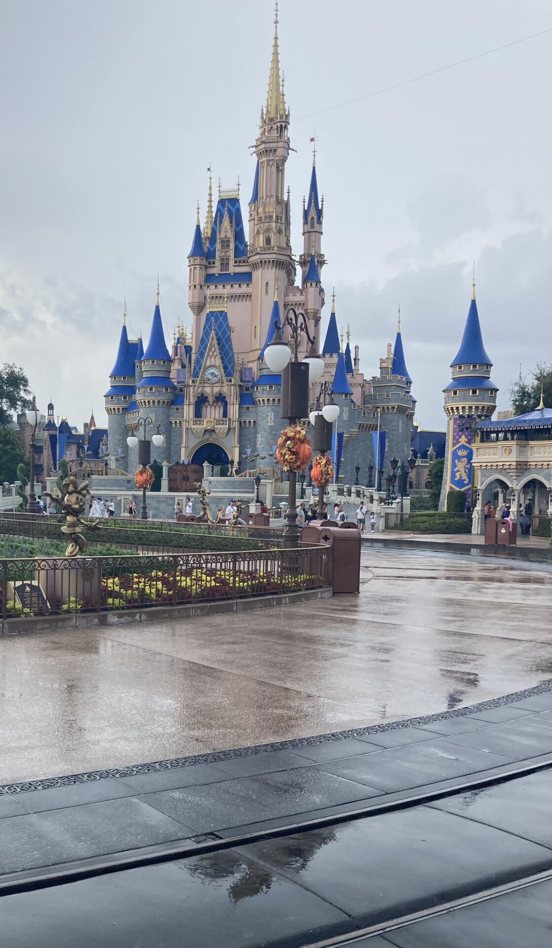 20 Dollar Tree Must-Haves for Disney Parks - Suncoast Family Fun