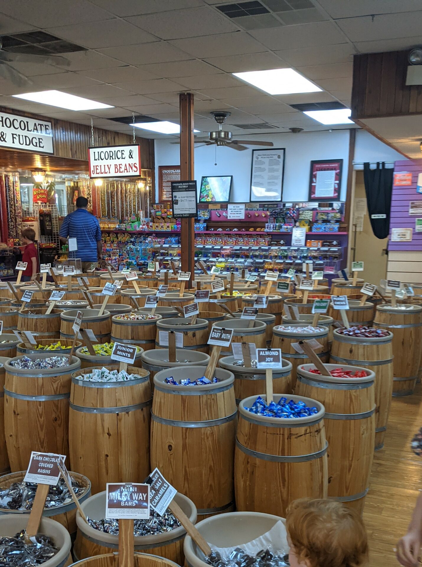 9 Things to Do at the Sponge Docks in Tarpon Springs - Suncoast Family Fun