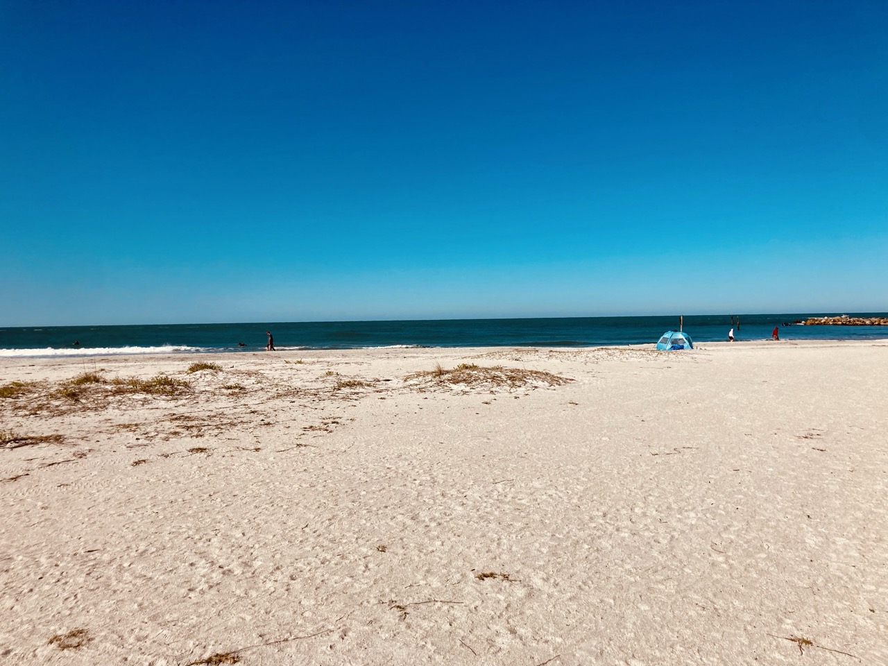 Things to Do on Spring Break in St. Pete-Clearwater for Families ...
