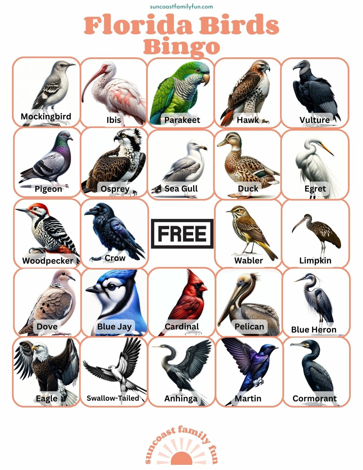 Florida Bird Watching: Bird Bingo Game - Suncoast Family Fun