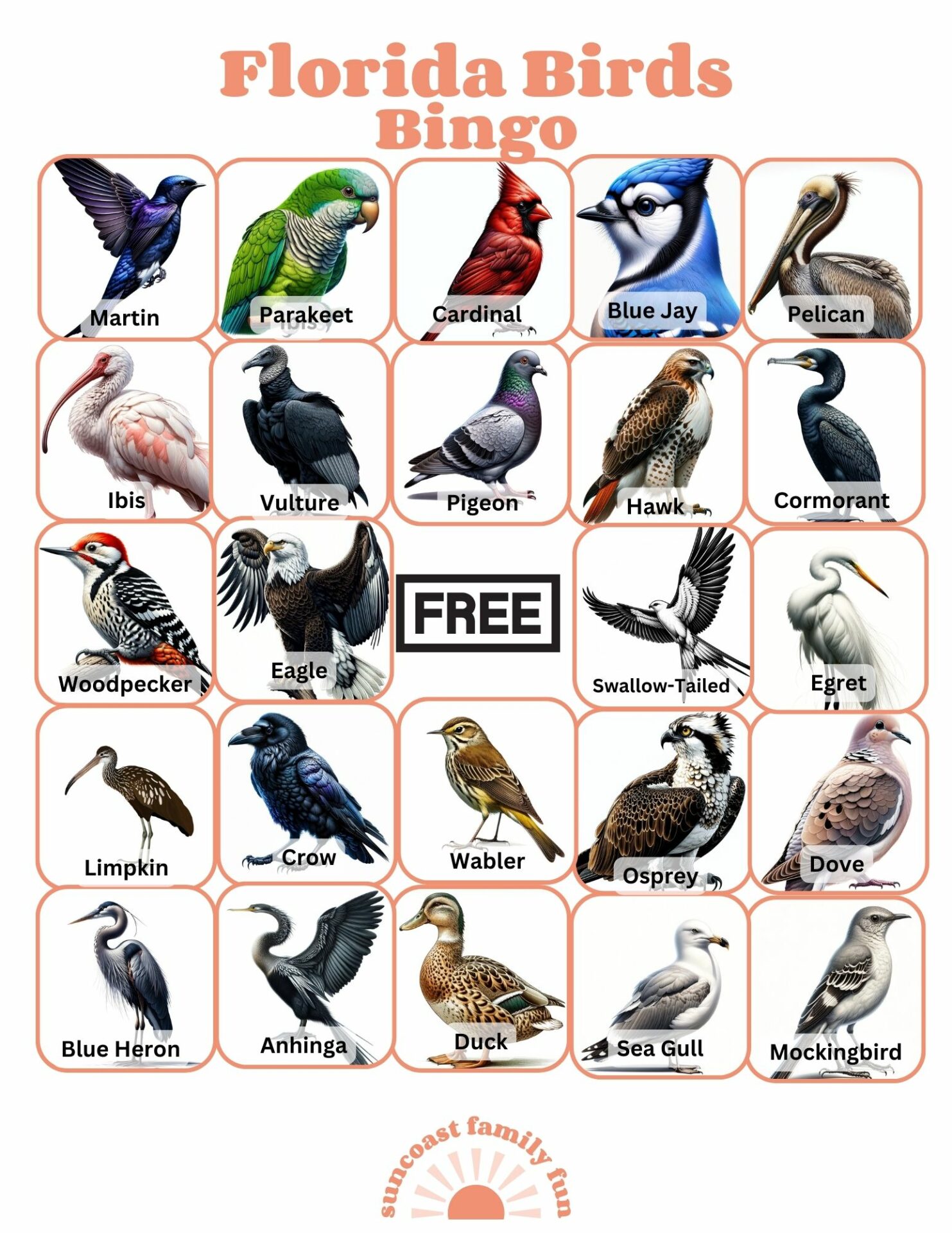 Florida Bird Watching: Bird Bingo Game - Suncoast Family Fun