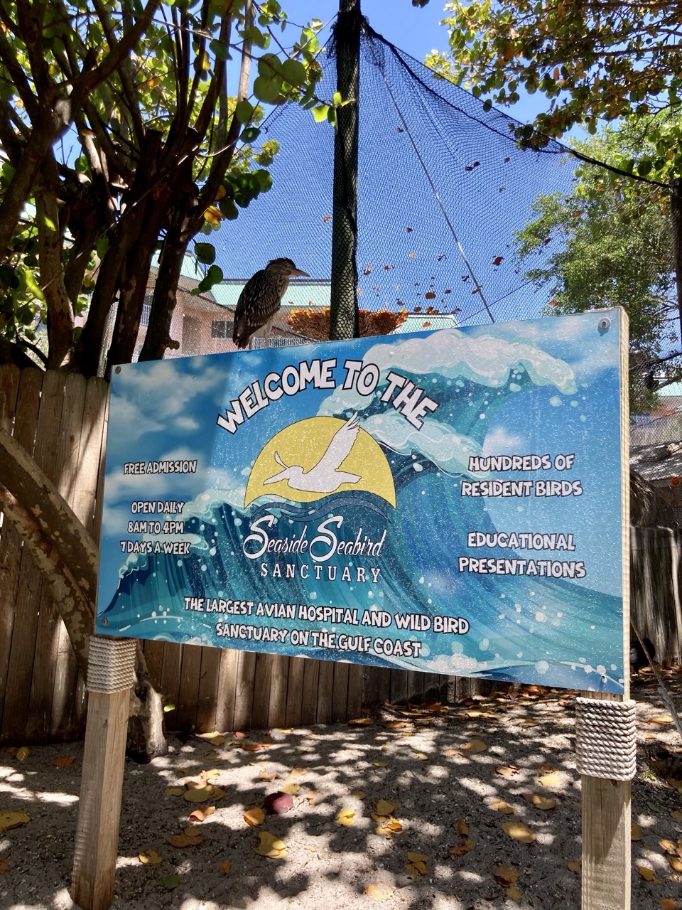 39 Things to Do with Kids in St. Pete FL - Suncoast Family Fun